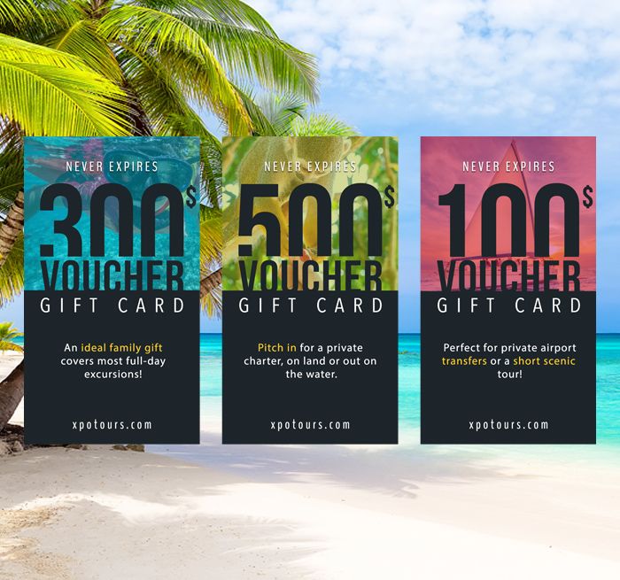 Gift Cards Punta Cana Dominican Republic, Private Airport Transfer and ...